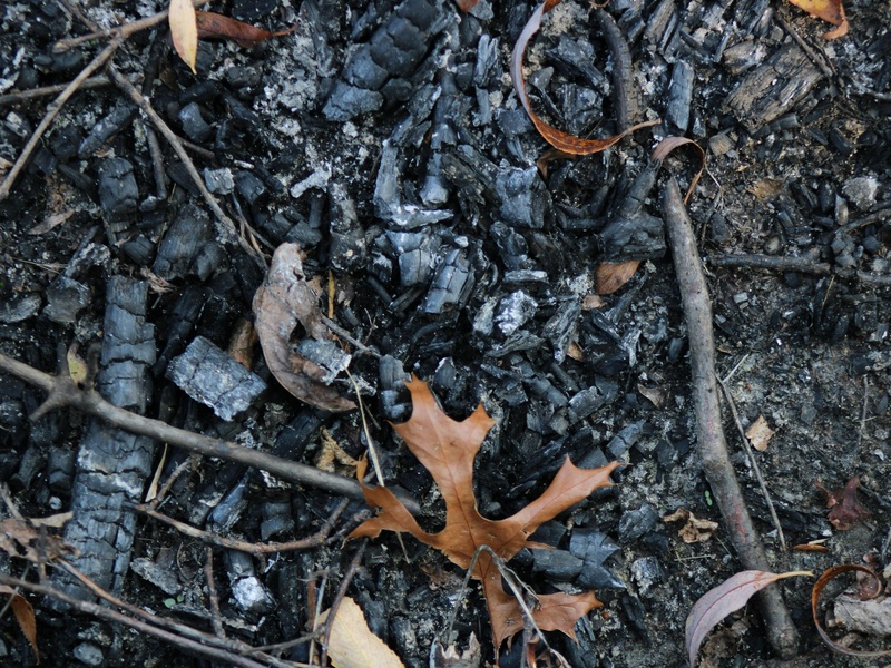 Air Pollution: The Complete List of Pollutants - 33Science