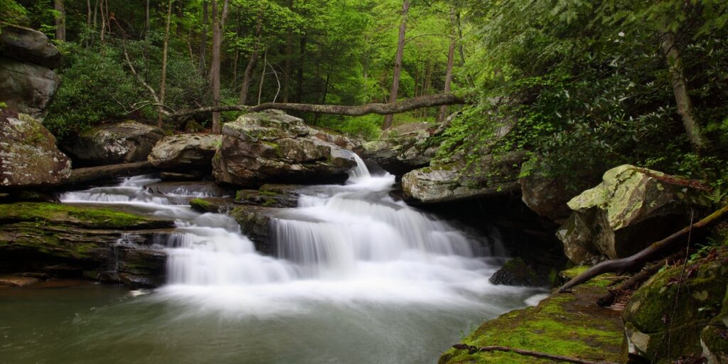 Natural Resources in Virginia: The Complete List - 33Science
