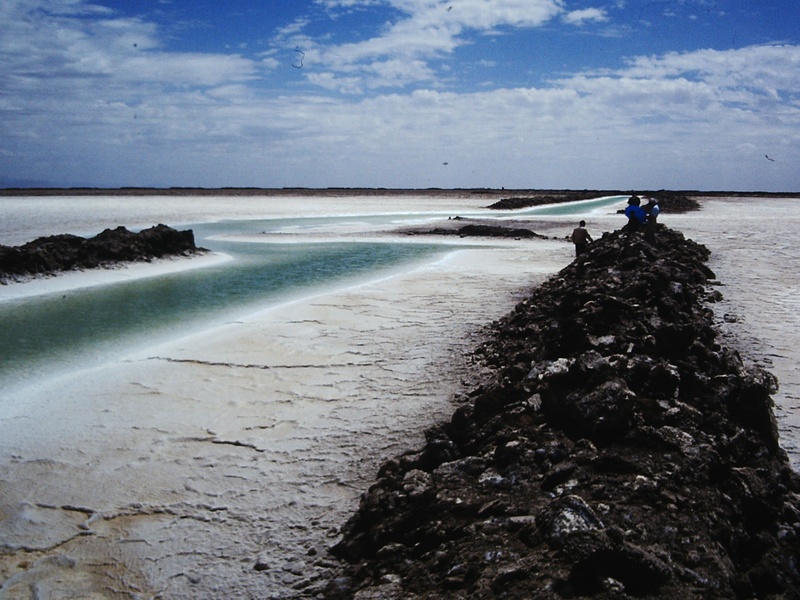 The Complete List of Natural Resources in New York - 33Science