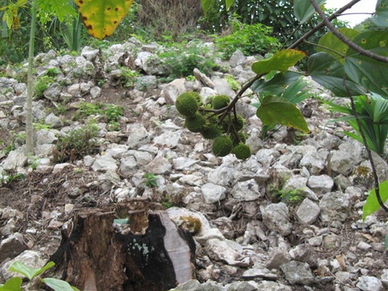 Natural Resources of Peru: The Complete List - 33Science