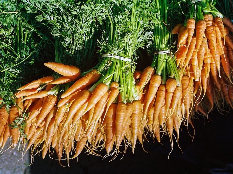The Complete List of Root Vegetables - 33Science