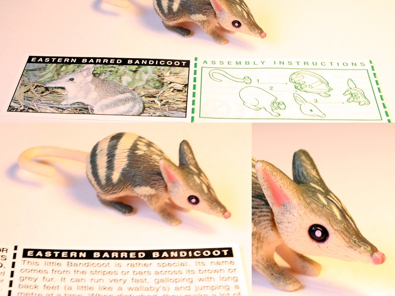 The Complete List of Marsupials - 33Science