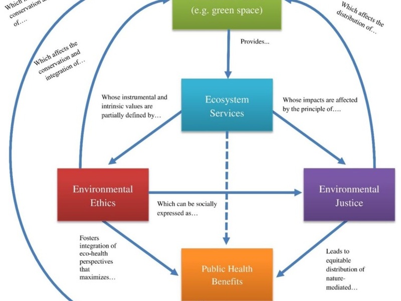 Environmental Science Topics: The Complete List - 33Science