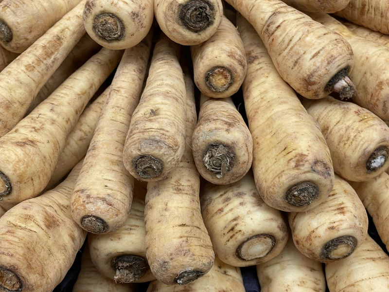 The Complete List of Root Vegetables - 33Science