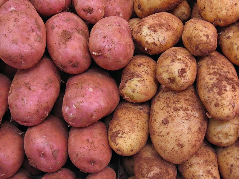 The Complete List of Root Vegetables - 33Science