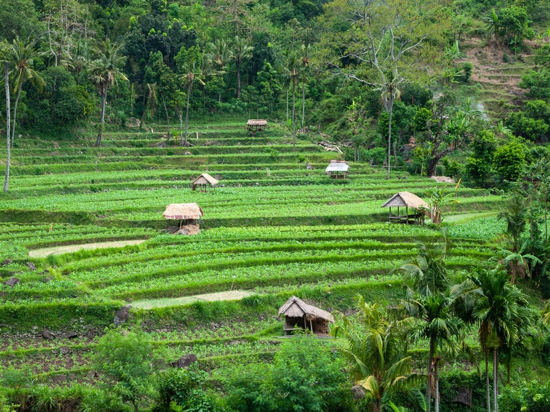 Natural Resources of Peru: The Complete List - 33Science