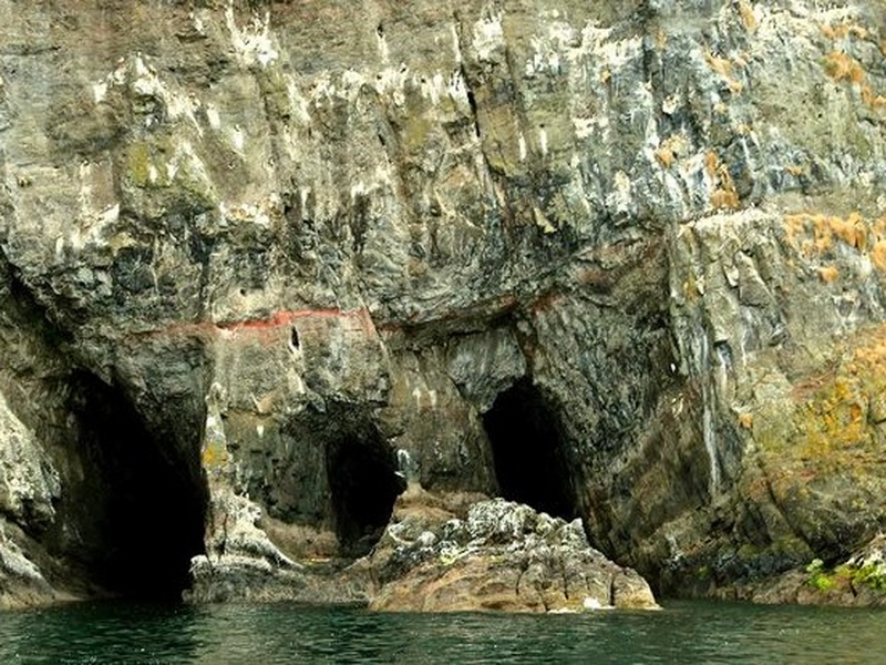 The Complete List of Caves in Alabama - 33Science