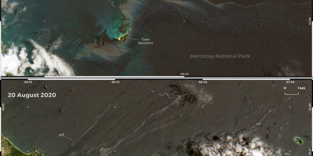 8 Interesting Facts About Ecosystems - 33Science