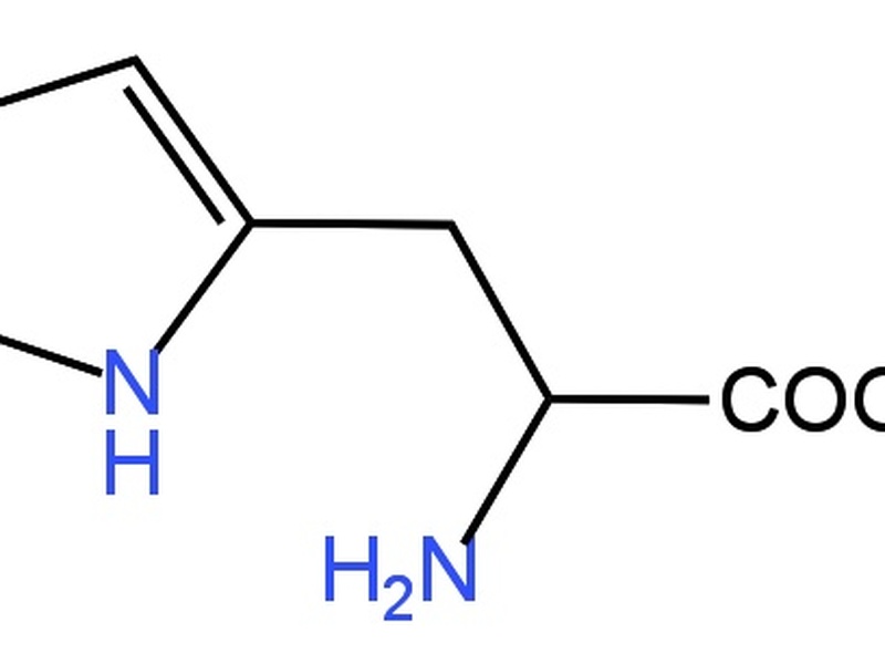 The Complete List of Essential Amino Acids - 33Science