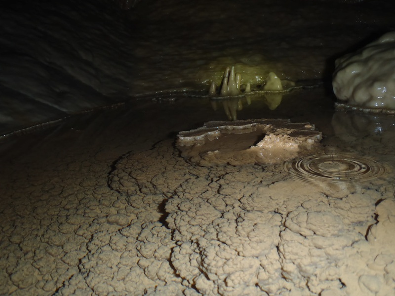 The Complete List of Caves in Alabama - 33Science