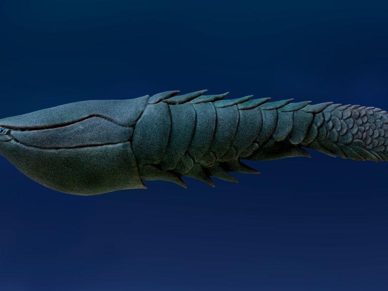 Jawless Fish: The Complete List - 33Science