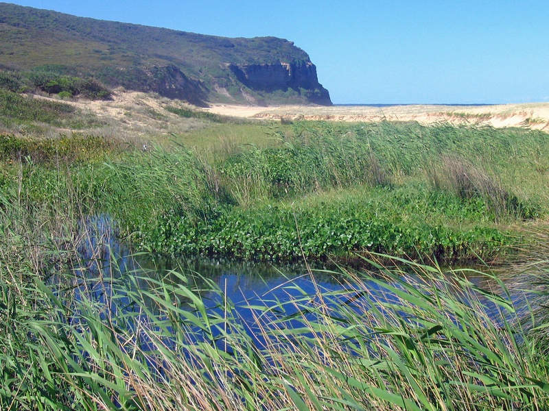 Marine Biomes: The Complete List - 33Science