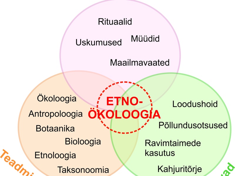 The Complete List of Anthropology Topics - 33Science
