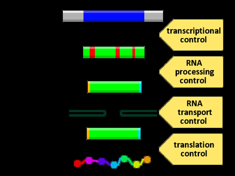 Life Science Topics: The Complete List - 33Science