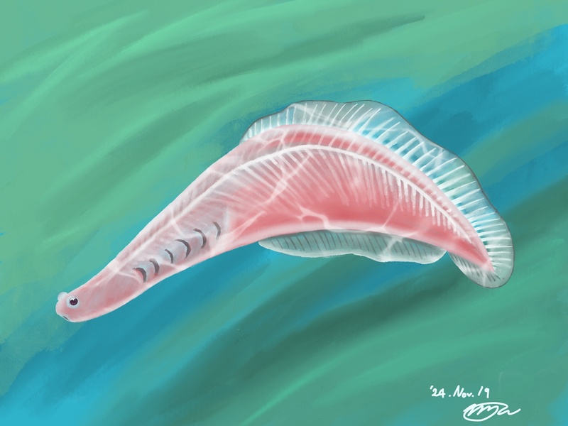 Jawless Fish: The Complete List - 33Science