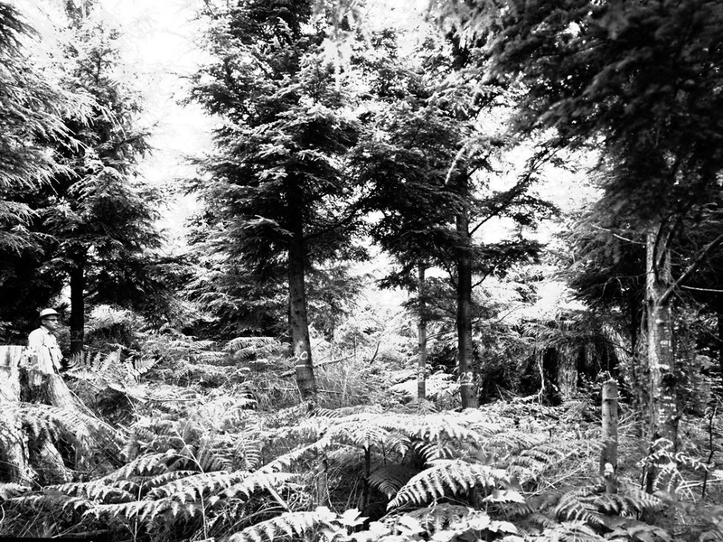 Natural Resources in Vermont: The Complete List - 33Science