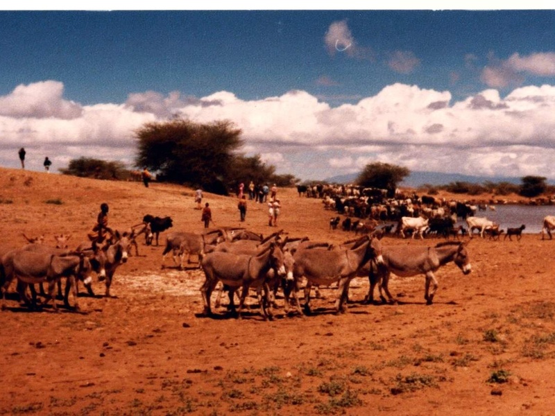 Natural Resources of Kenya: The Complete List - 33Science
