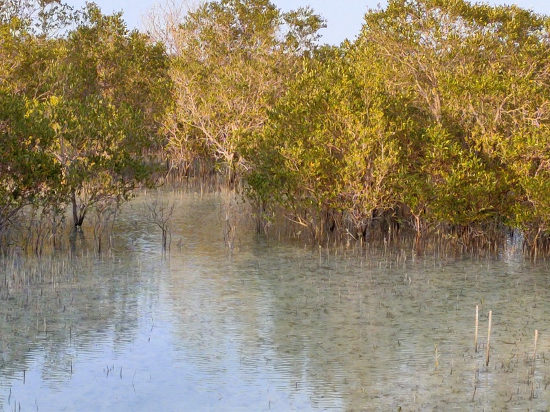 Natural Resources of Kenya: The Complete List - 33Science
