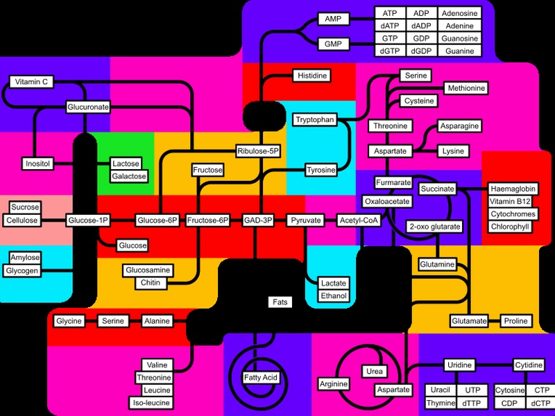 Life Science Topics: The Complete List - 33Science