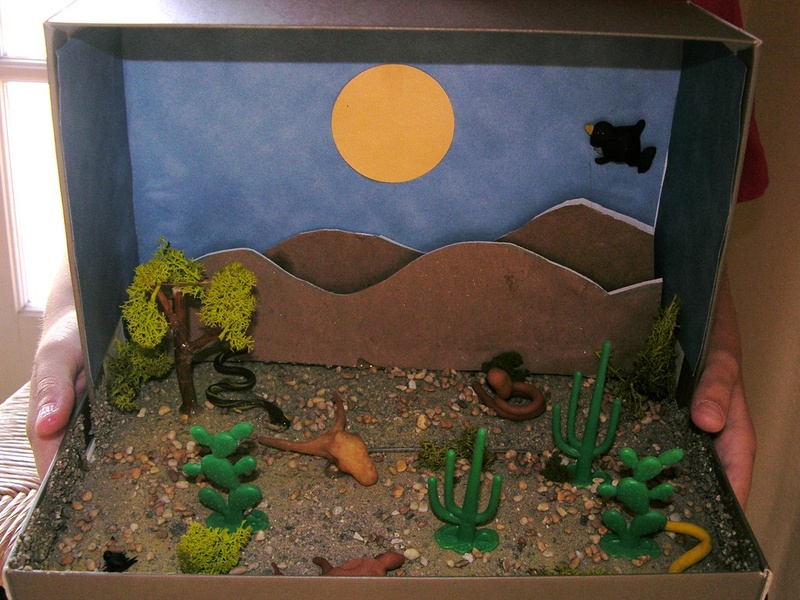 Desert Biomes: The Complete List - 33Science