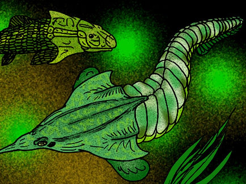 Jawless Fish: The Complete List - 33Science