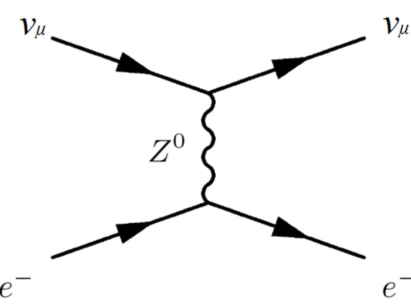 Weak Nuclear Force: The Complete List - 33Science