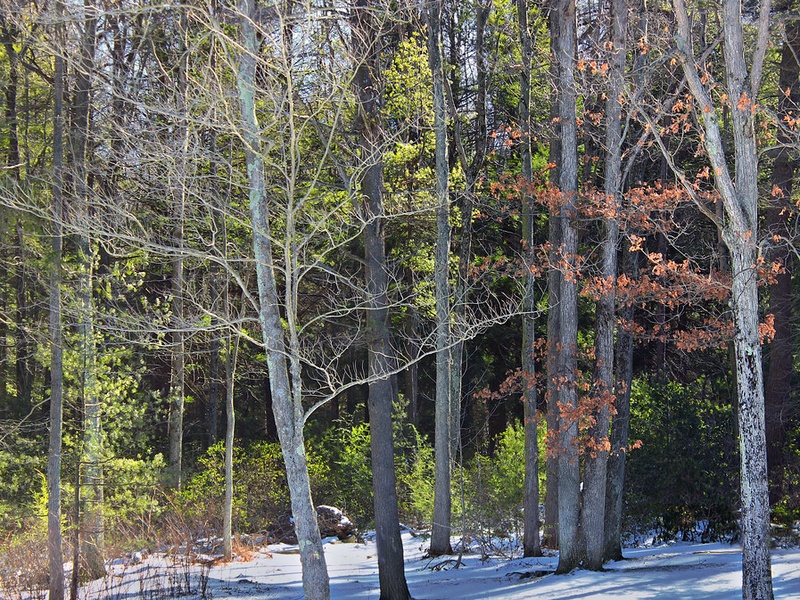 Natural Resources in Vermont: The Complete List - 33Science
