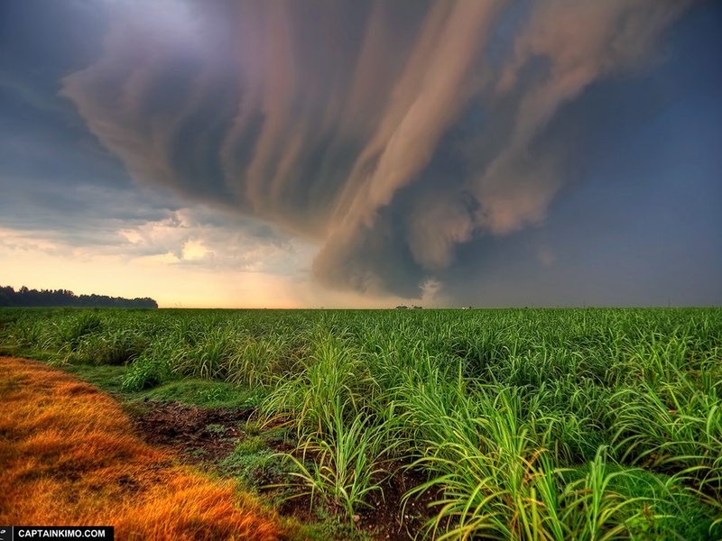 The Complete List of Natural Resources of Fiji - 33Science