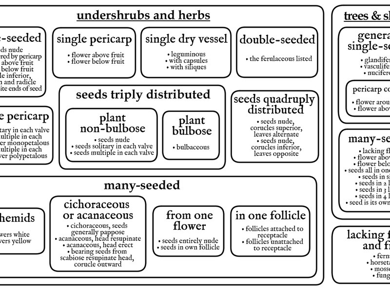 Life Science Topics: The Complete List - 33Science