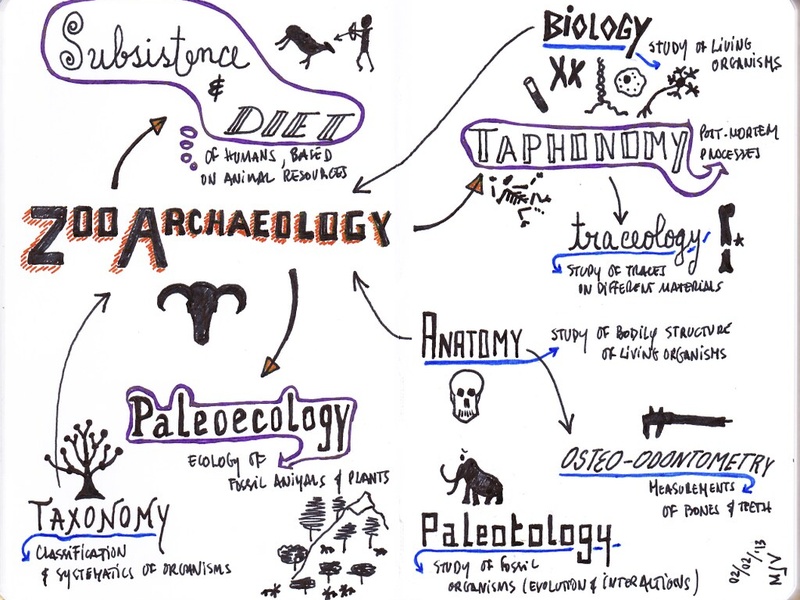 The Complete List of Anthropology Topics - 33Science