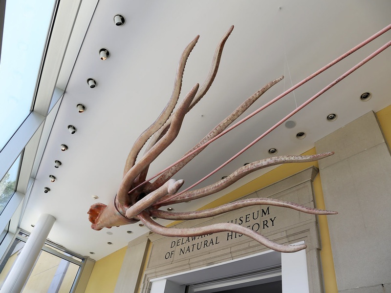 Science Museums in Delaware: The Complete List - 33Science