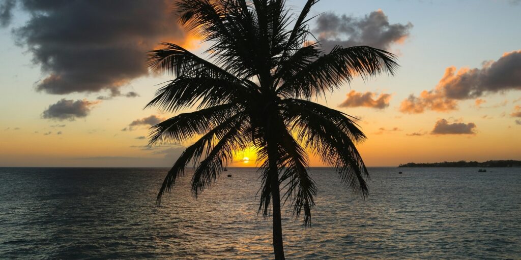 Endemic Plants of Barbados: The Complete List - 33Science