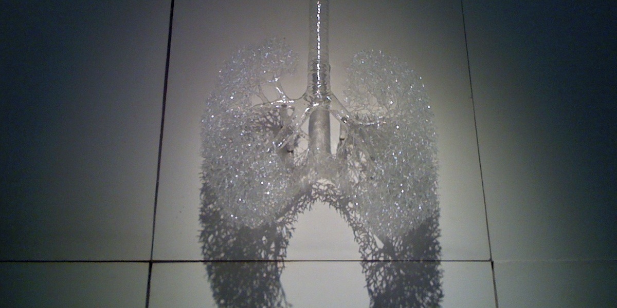 8 Interesting Facts About the Lungs - 33Science