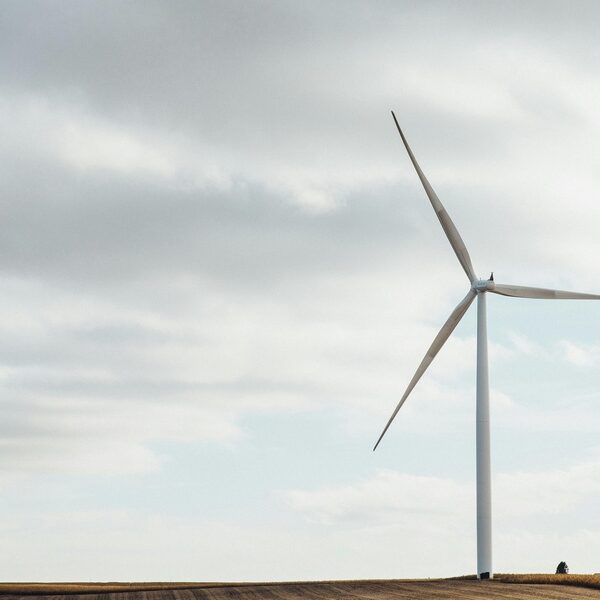 Endemic Species of Kyrgyzstan: The Complete List - 33Science