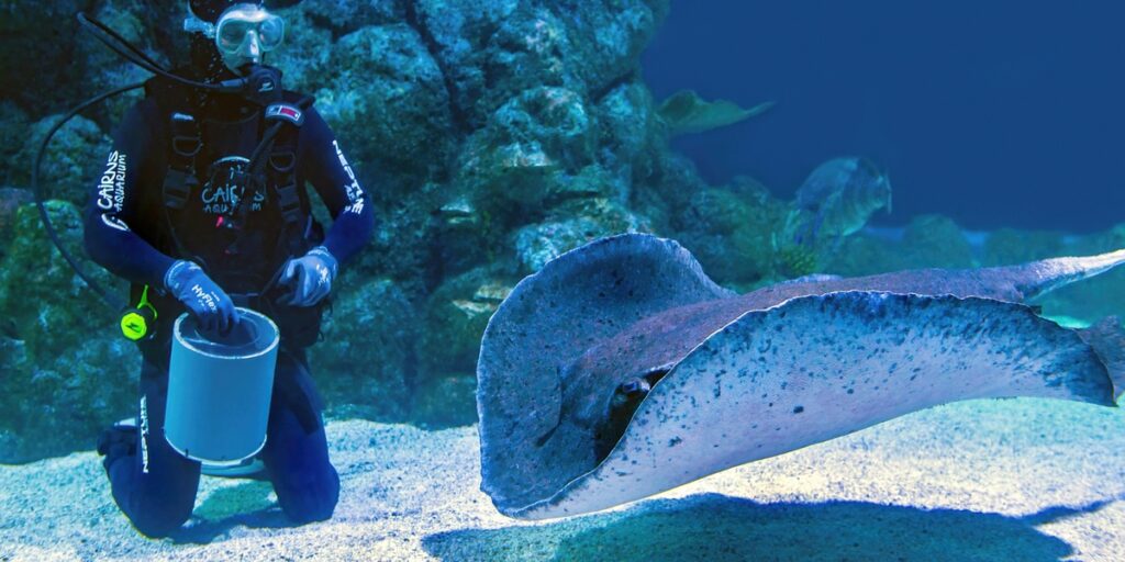 10 Benefits of Marine Biology (and why it is important to you) - 33Science