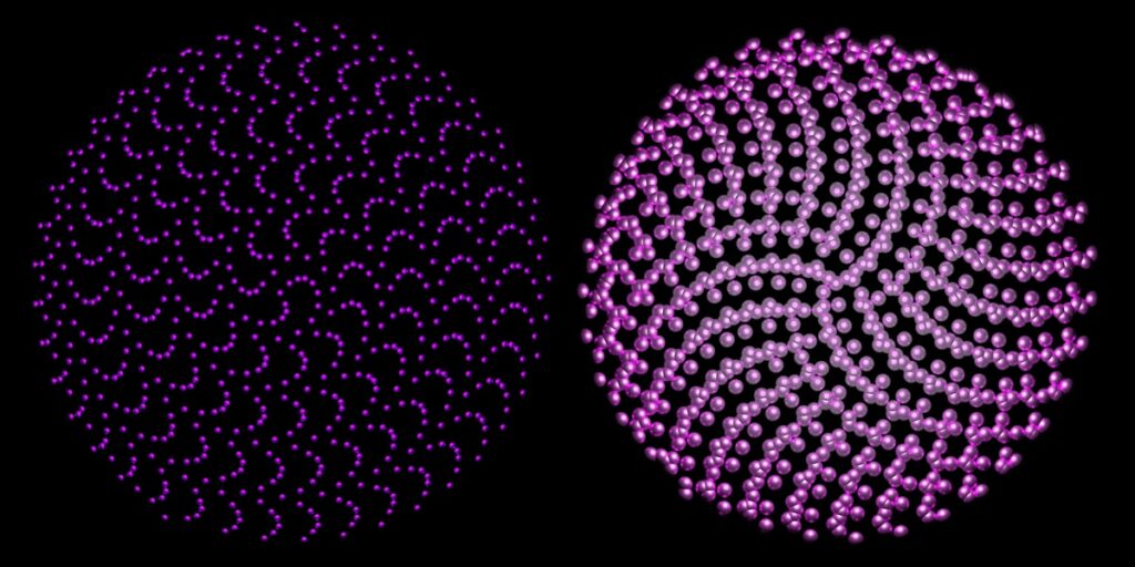 Types Of Bacterial Reproduction: The Complete List - 33Science