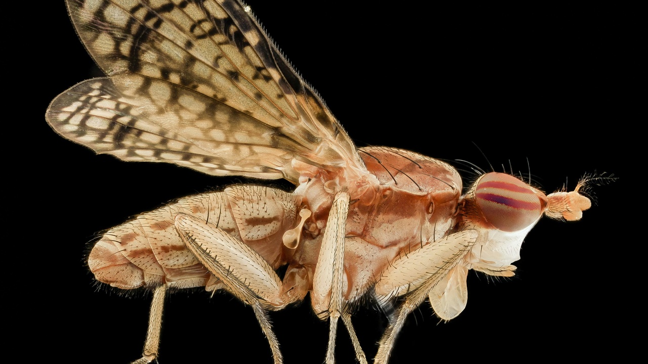 7 Interesting Facts About Death - 33Science