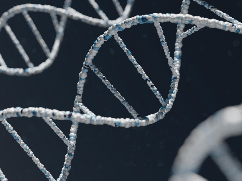 Branches Of Life Science: The Complete List - 33Science