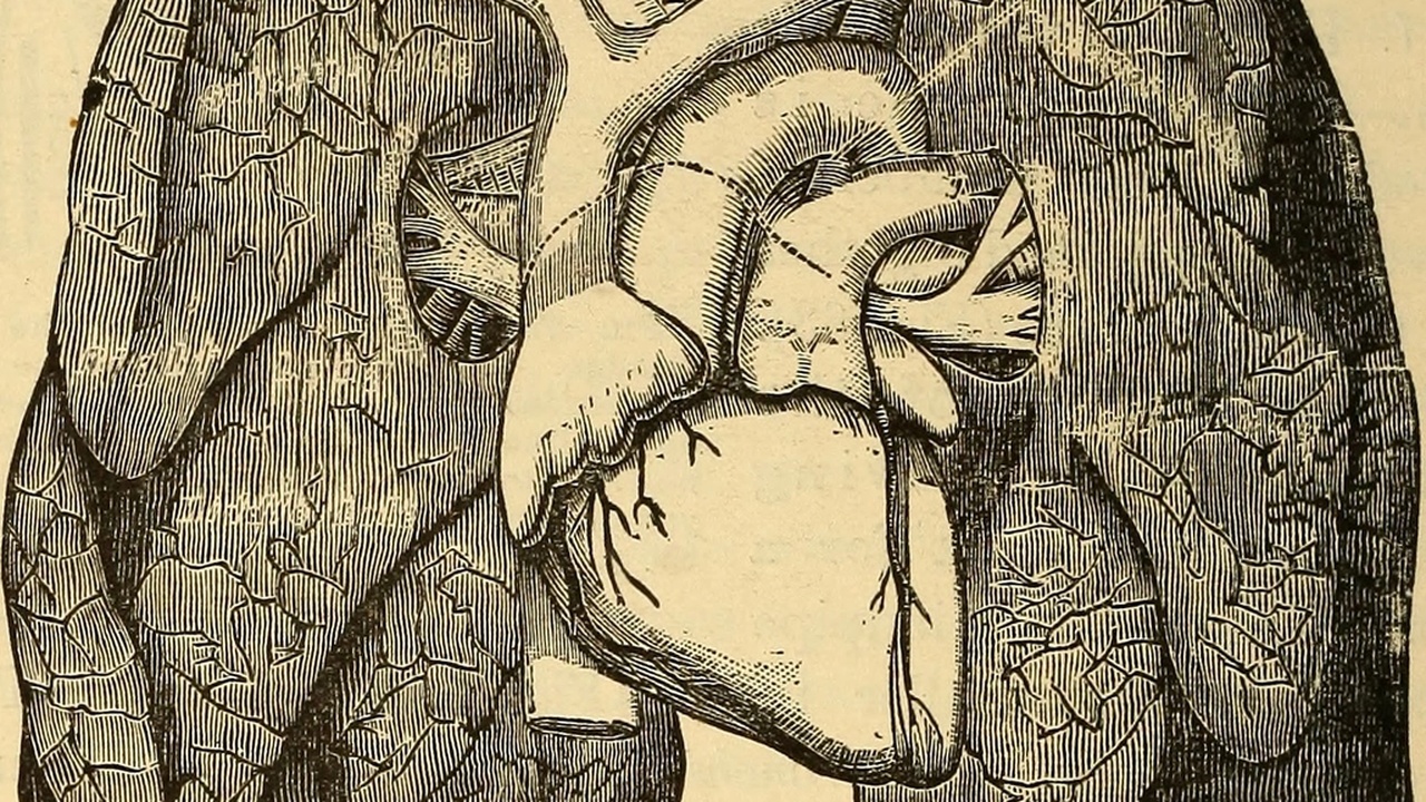 8 Interesting Facts About Asthma - 33Science