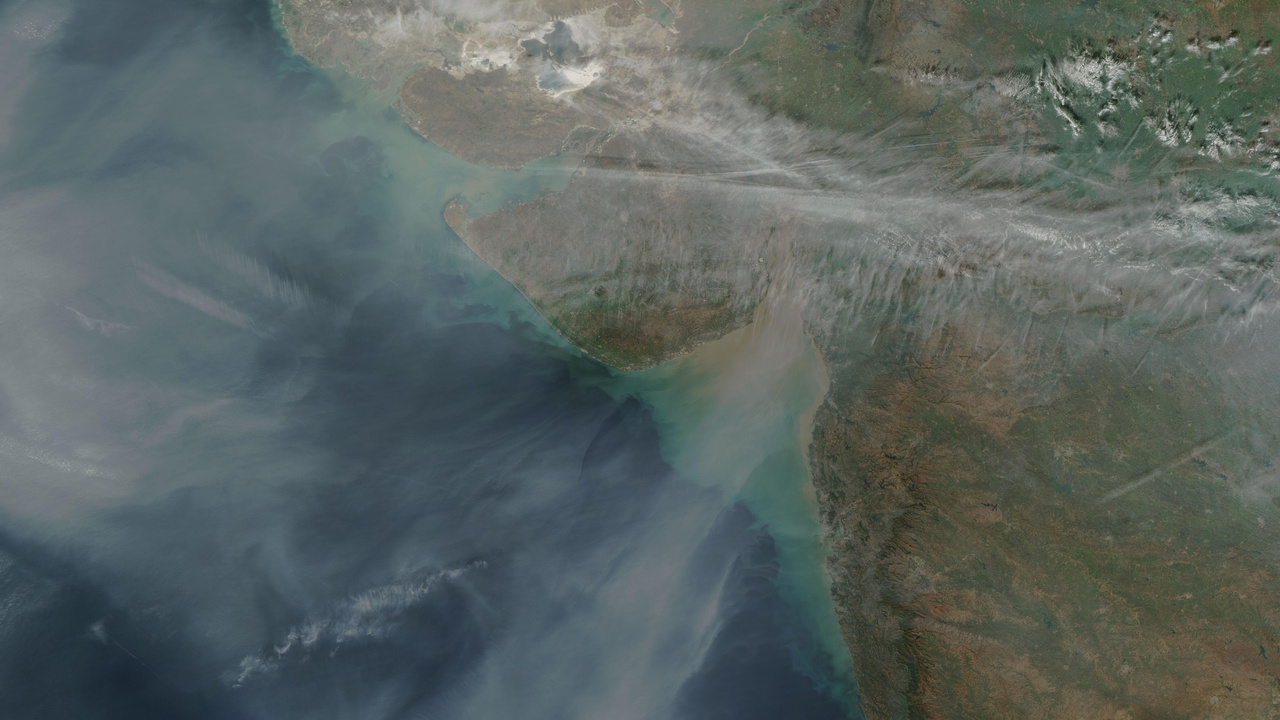 8 Interesting Facts About the Lungs - 33Science
