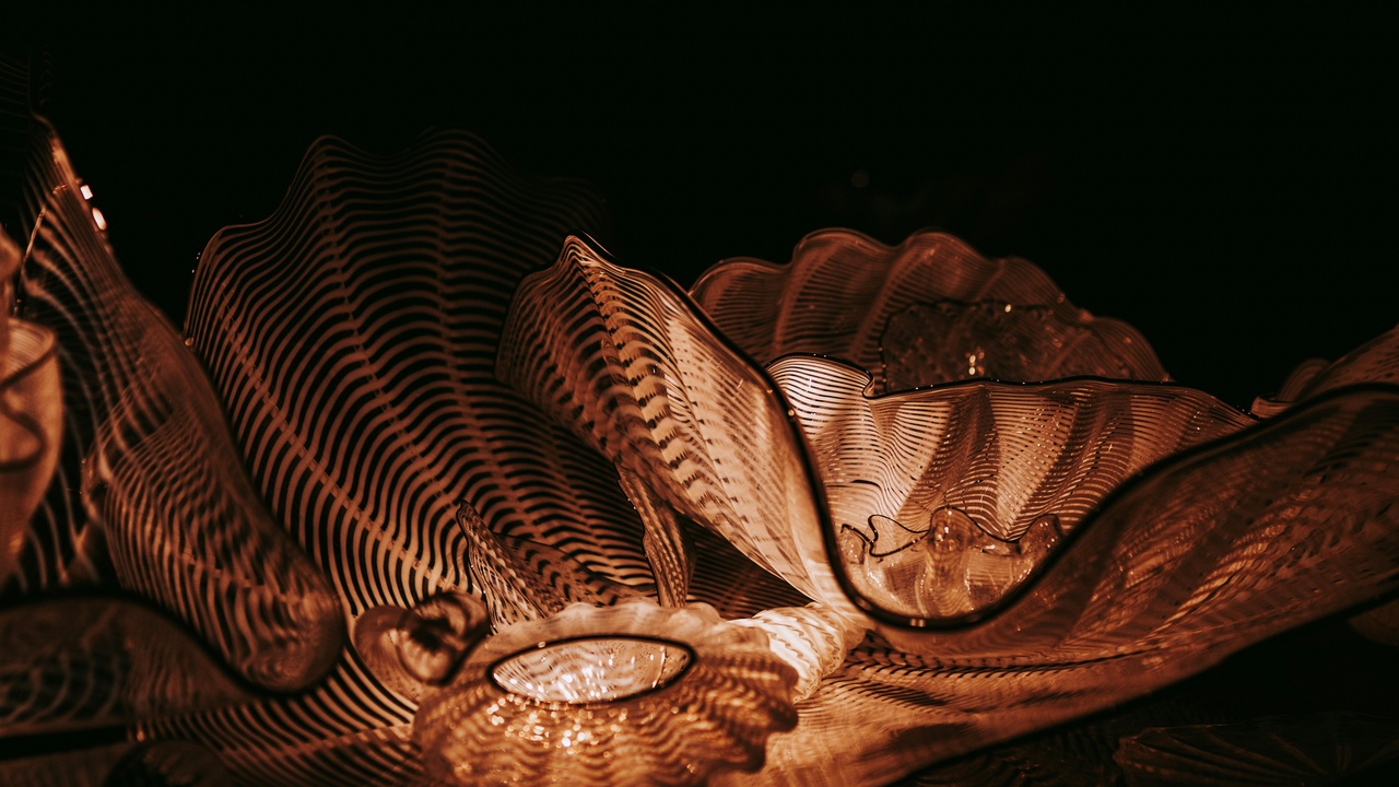 7 Interesting Facts About Muscles - 33Science