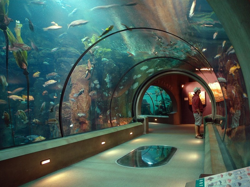 The Complete List of Science Museums In Oregon - 33Science