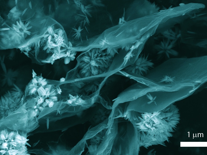 Examples of Oxidizing Agents: The Complete List - 33Science