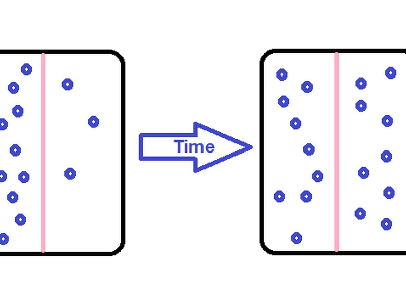 Types Of Membrane Transport: The Complete List - 33Science