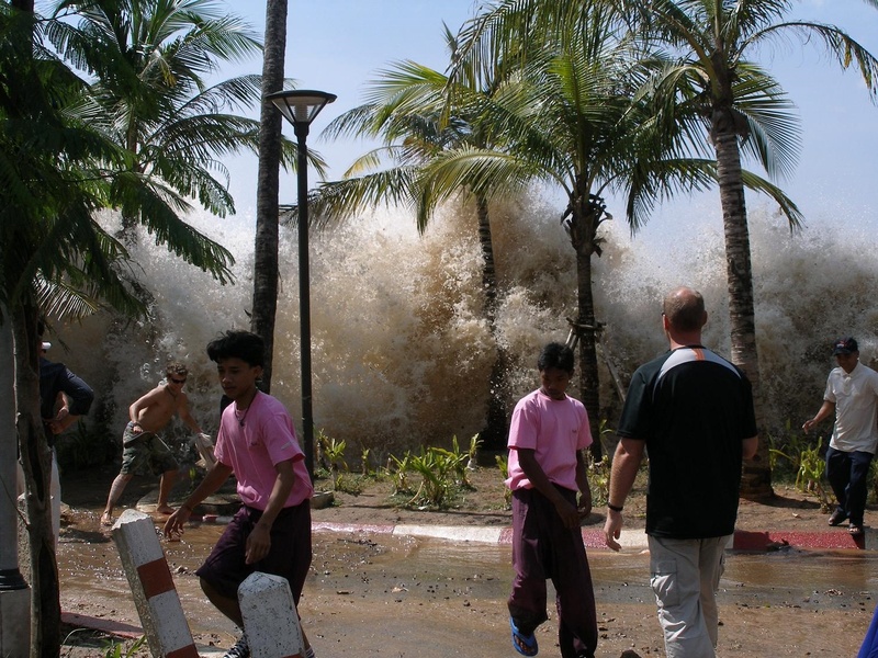 Examples of Waves: The Complete List - 33Science