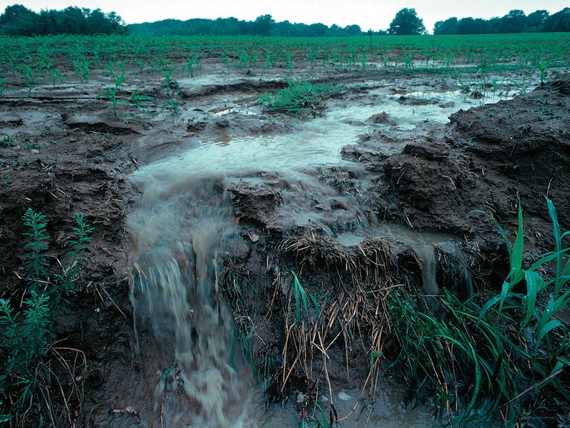 Water Pollution: The Complete List - 33Science