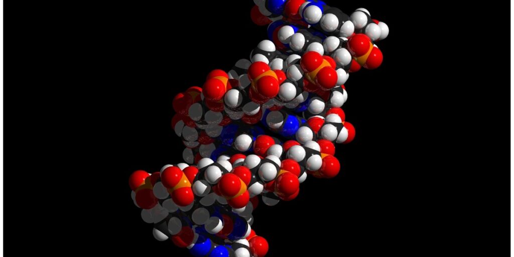 10 Interesting Facts About DNA - 33Science