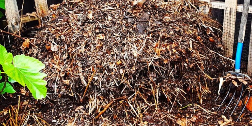 The Complete List of Organic Fertilizers - 33Science