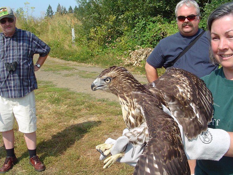 The Complete List of Birds of Maine - 33Science