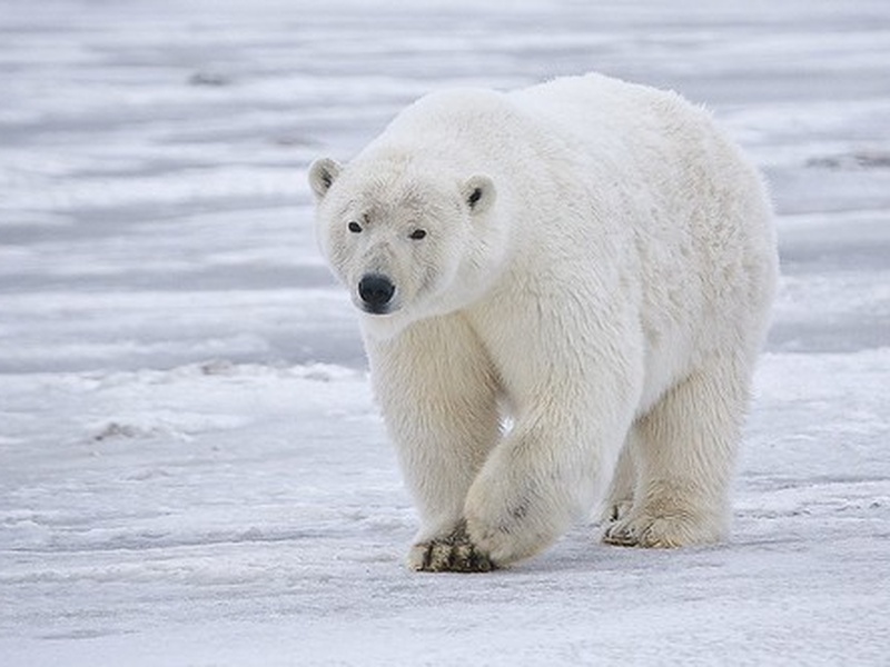 Climate Zones: The Complete List - 33Science